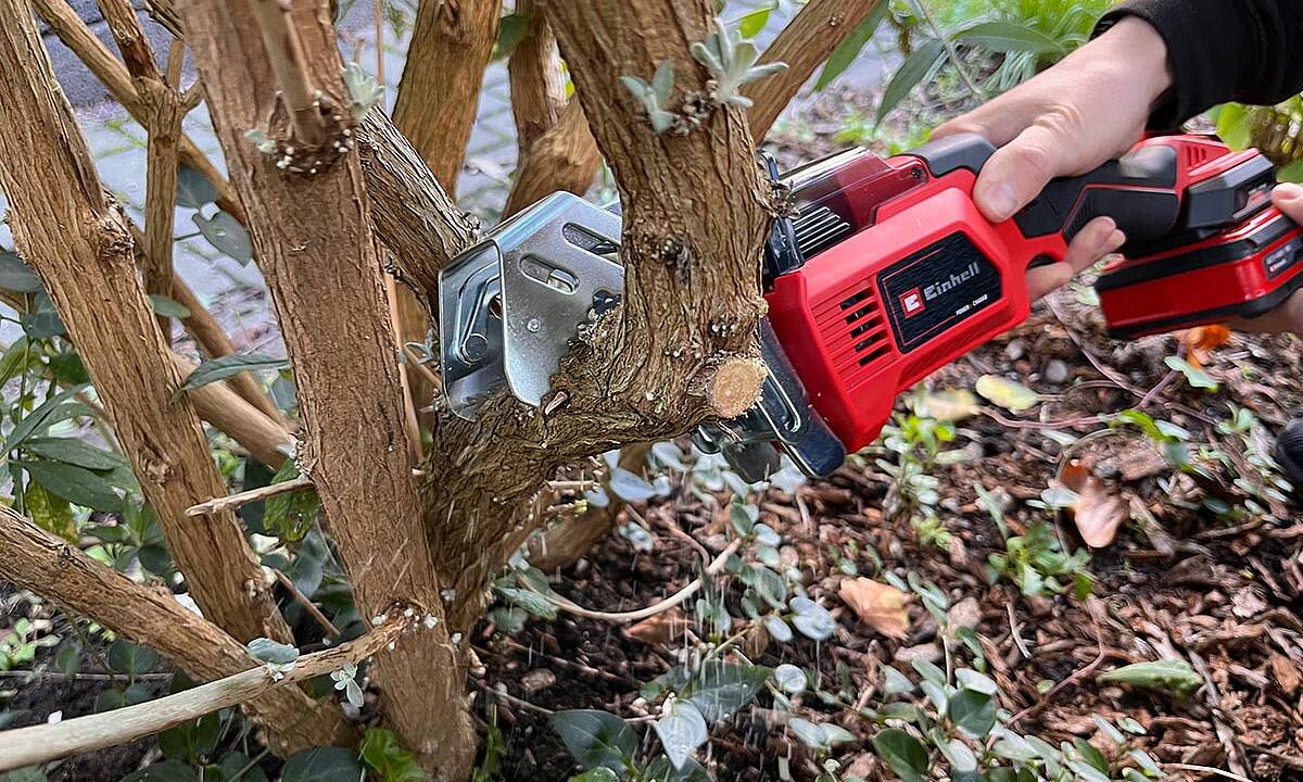 Technik zu Hause: Einhell Astsäge GE-GS 18/150 Li-Solo im Test